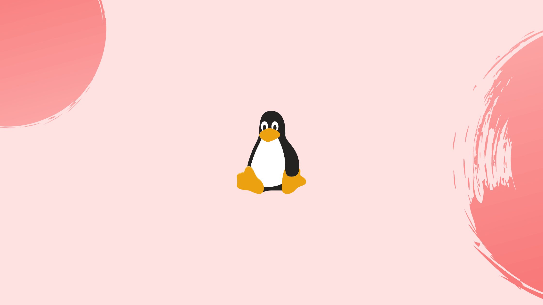 How to Set and List Environment Variables on Linux