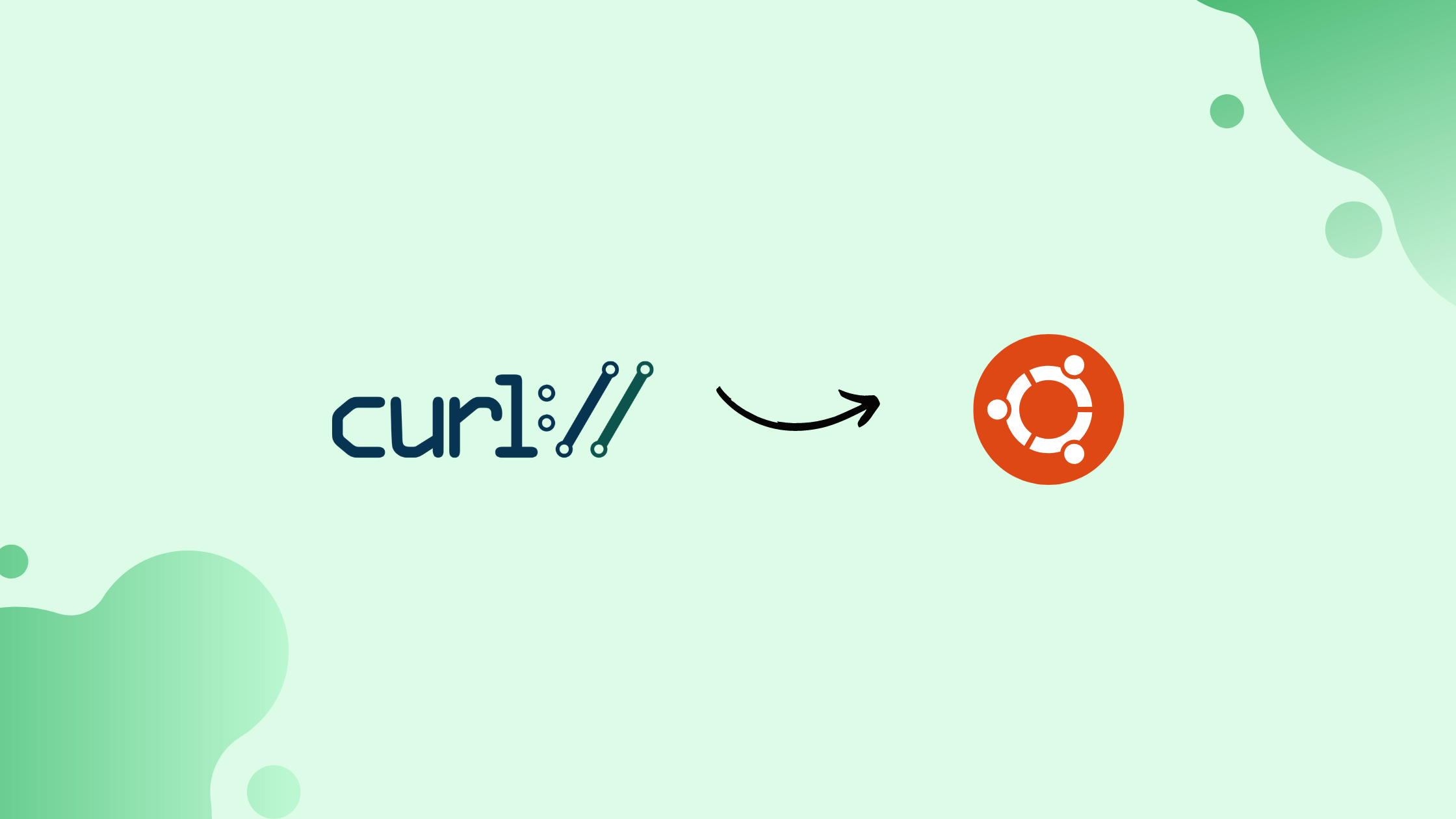 How to Install and Use Curl on Ubuntu 20.04