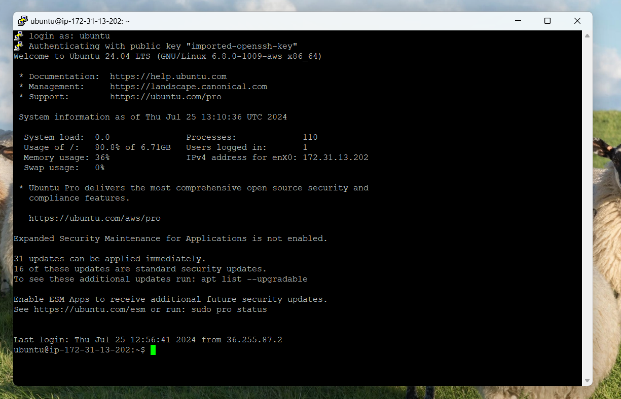 How to Configure SSH Keys on Ubuntu 24.04
