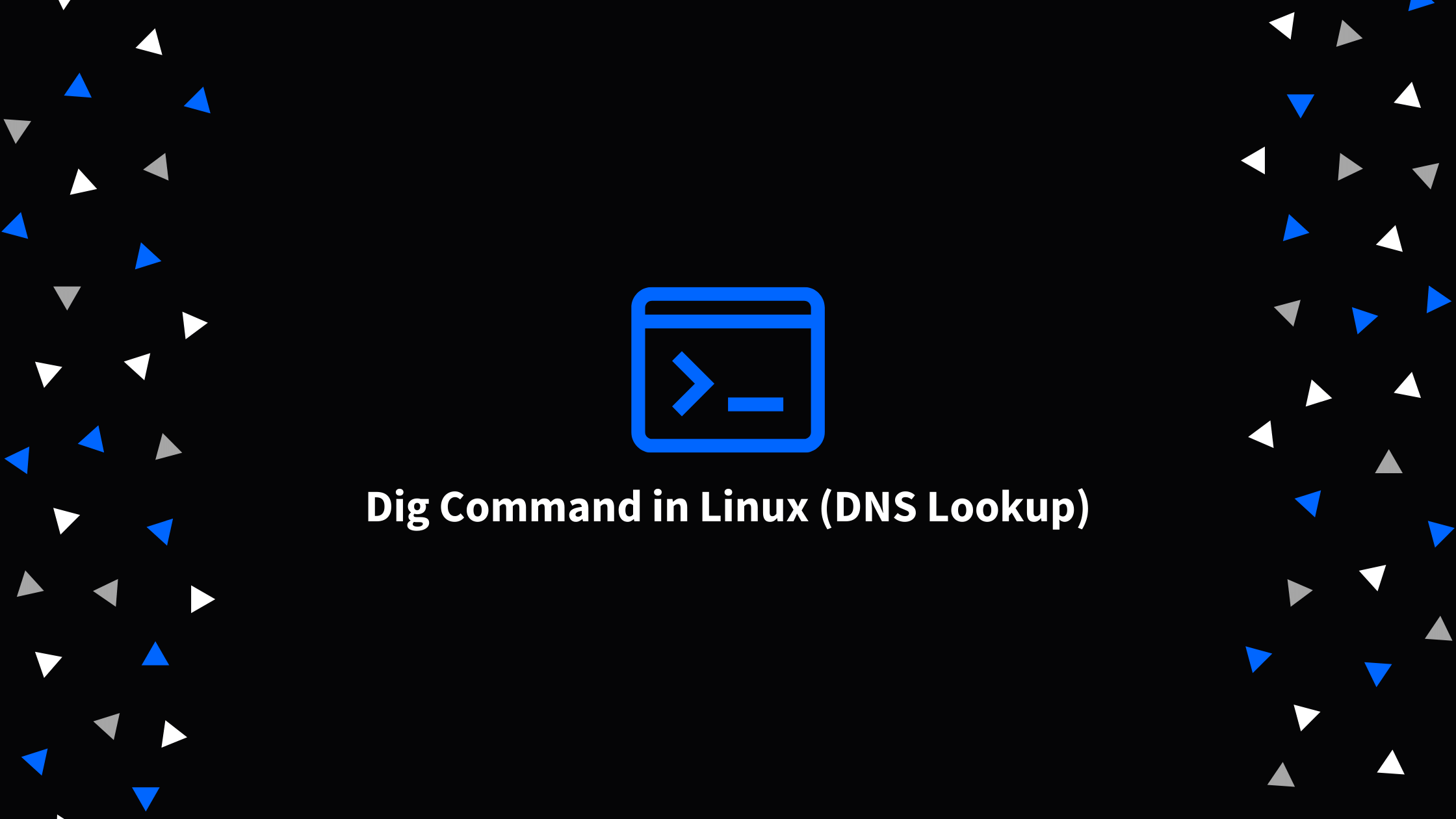 Dig Command in Linux (DNS Lookup)