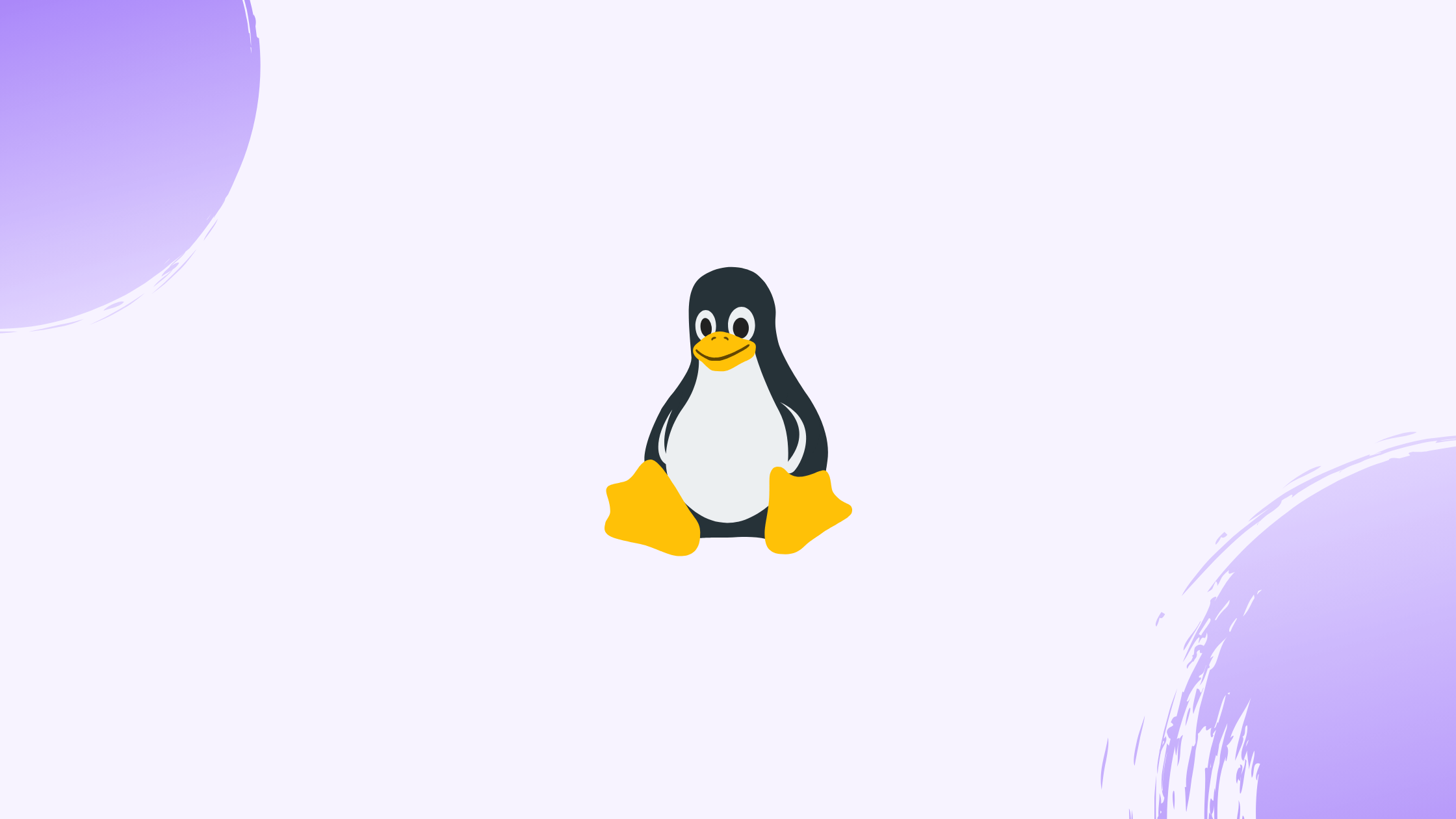 Linux Type Command