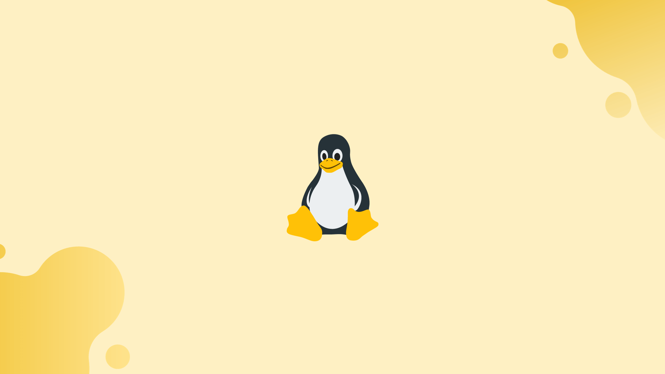 Pwd Command in Linux (Current Working Directory)
