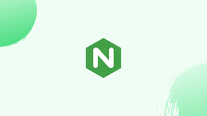 Configuring the Nginx Error and Access Logs