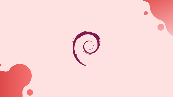 How to Check the Version of the Installed Package on Debian